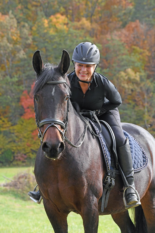 Wellspring Valley Farm – A Premiere Horse Boarding Facility