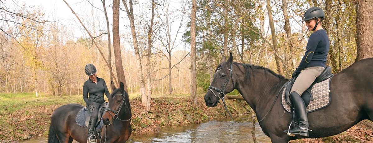 Wellspring Valley Farm – A Premiere Horse Boarding Facility